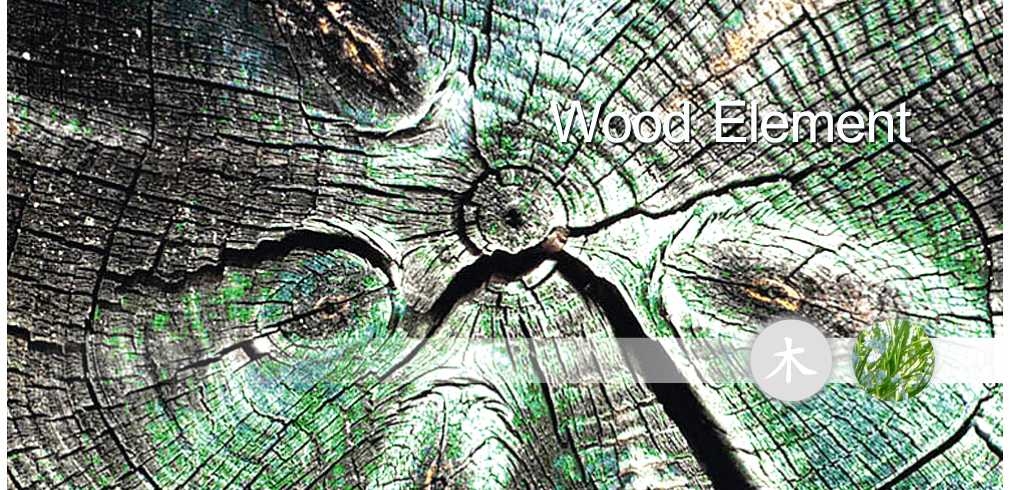 The Wood Element. Five Element Acupuncture for wood elements.