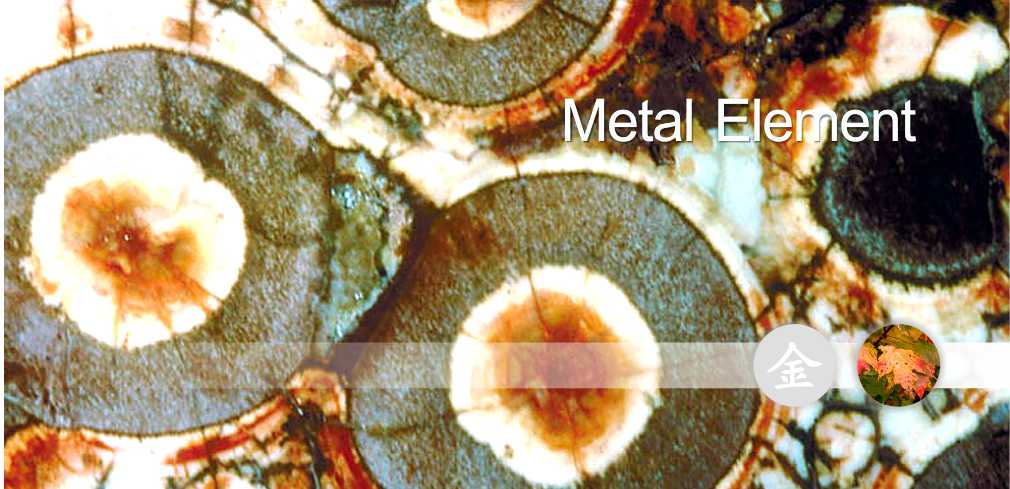 The Metal Element. Five Element Acupuncture for metal elements, Torbay.