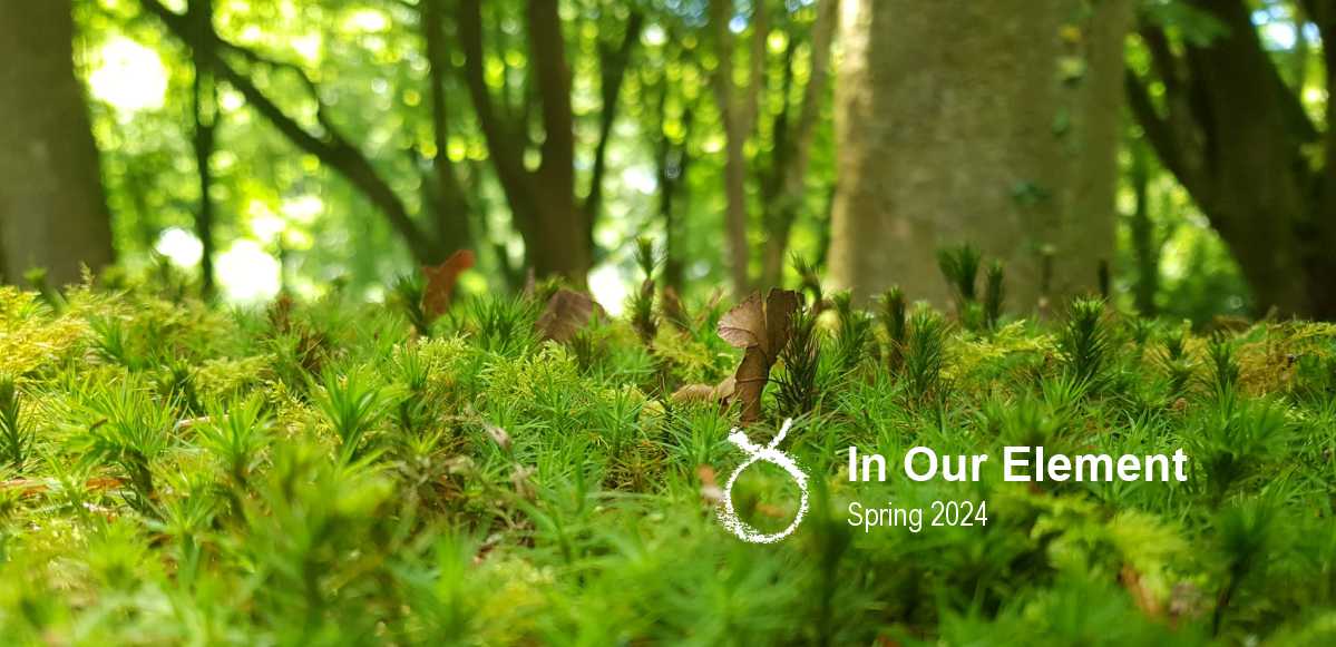 In Our Element Course - Torbay Accupuncture Centre | Torbay Acu